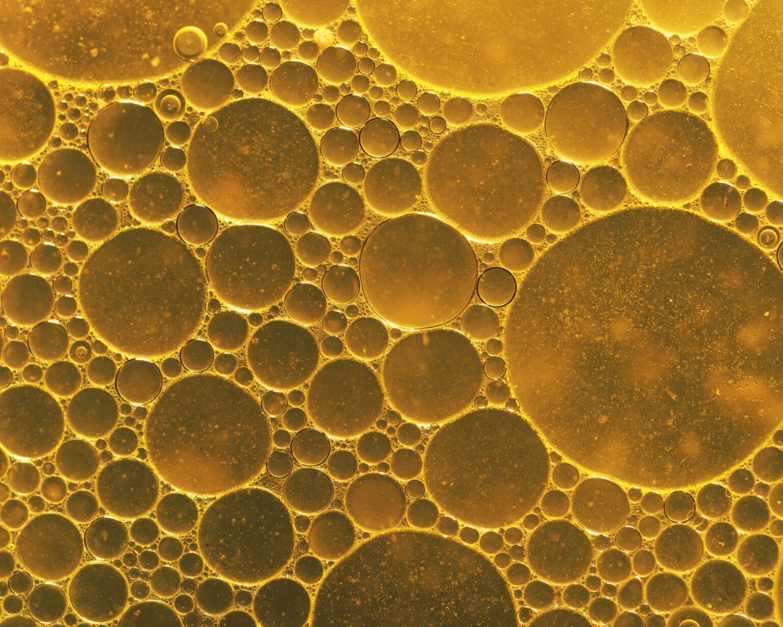 From Liquid to Blockage: The Hidden Dangers of Pouring Grease Down the ...