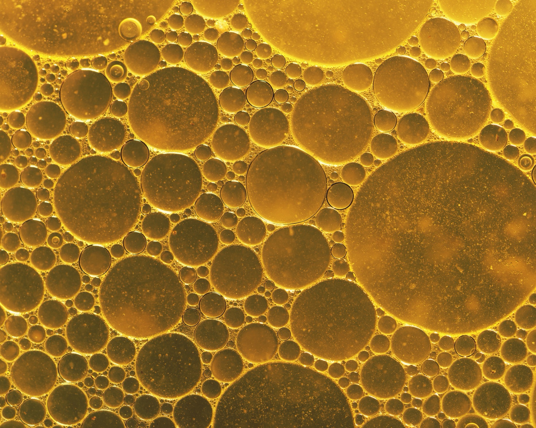 From Liquid to Blockage: The Hidden Dangers of Pouring Grease Down the ...