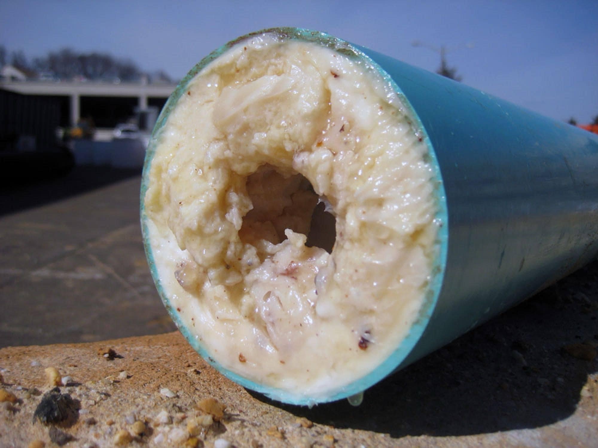 From Liquid to Blockage: The Hidden Dangers of Pouring Grease Down the ...