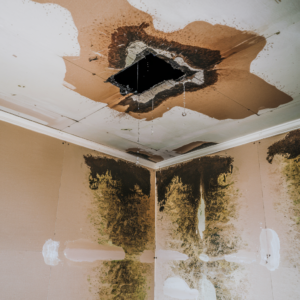 How to Repair Water Damaged Drywall and Prevent Future Issues - DIY ...