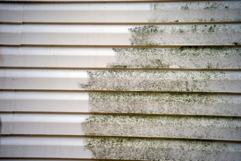 How to Prevent Algae Growth on Vinyl Siding - DIY Home Wizard