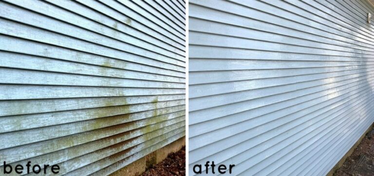 How to Clean Algae Off Vinyl Siding the Easy Way - DIY Home Wizard
