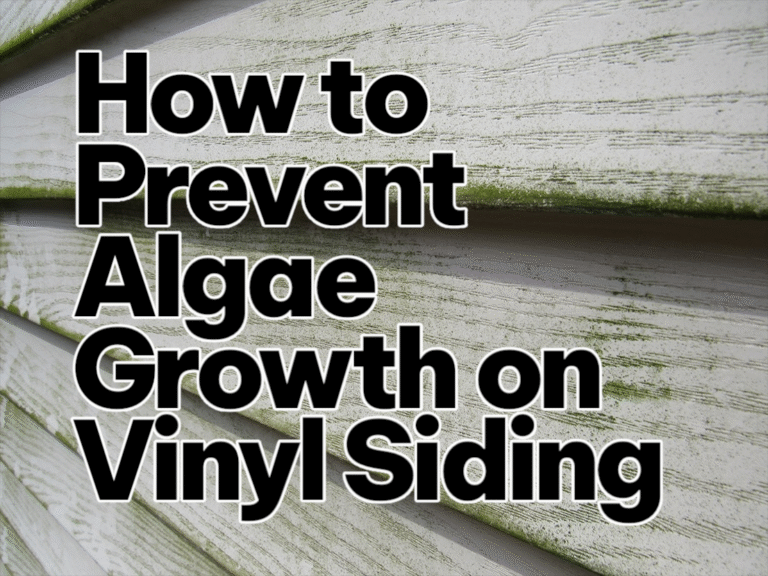 How to Prevent Algae Growth on Vinyl Siding - DIY Home Wizard